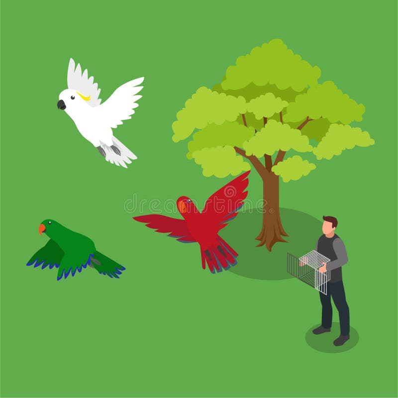 Releasing Bird Stock Illustrations – 240 Releasing Bird Stock ...