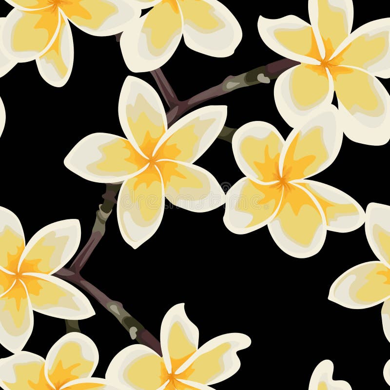 Frangipani Flowers Seamless Pattern Stock Vector - Illustration of ...