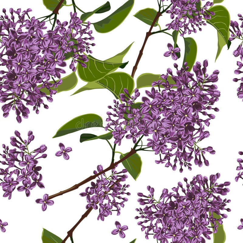 Seamless Pattern with Spring Flowers. Beautiful Decorative Natural ...