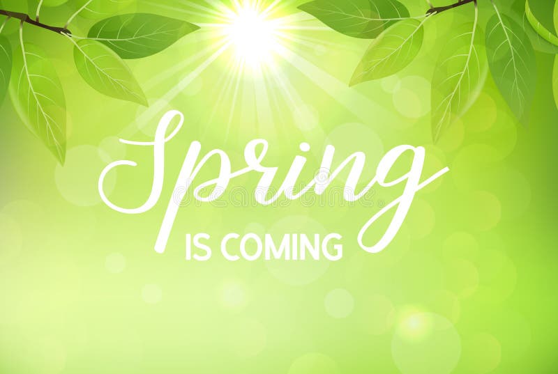 Spring is Coming Lettering with Green Leaves Stock Vector ...