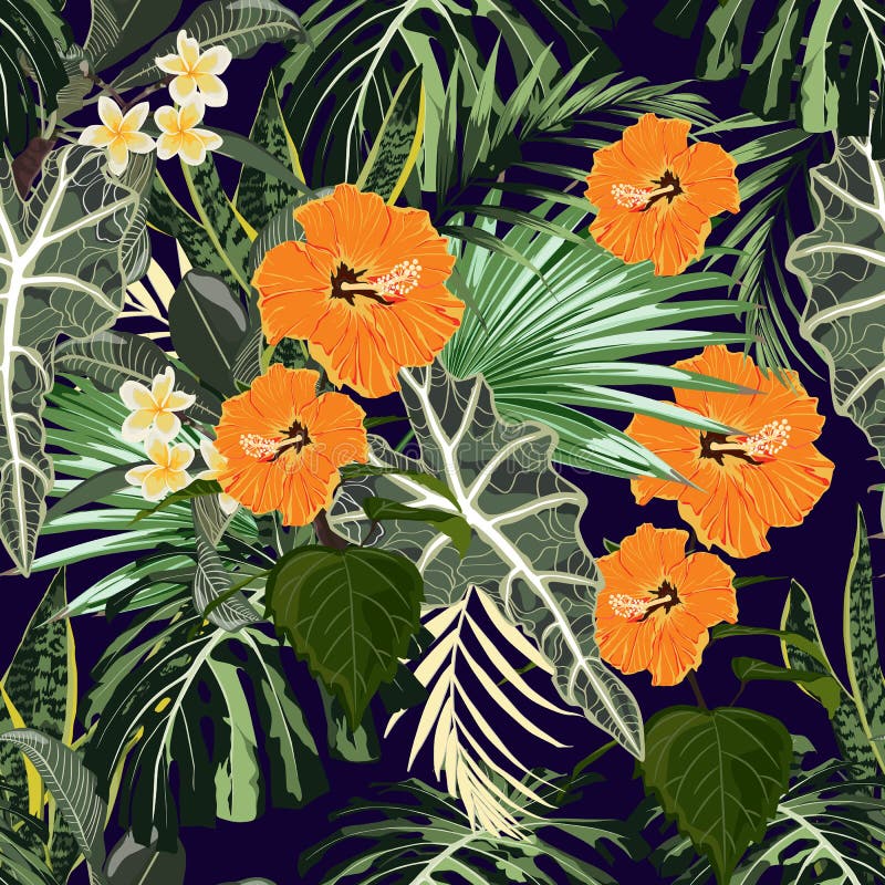 Orange hibiscus flower stock illustration. Illustration of fashion ...