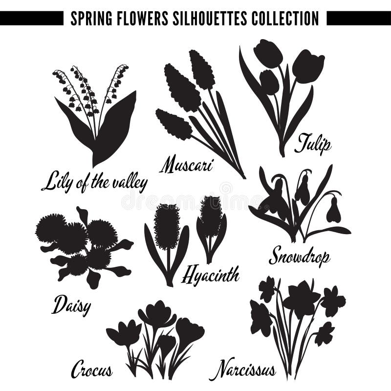 Spring Flowers Silhouettes Collection, Set Stock Vector - Illustration ...