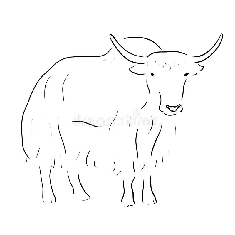 Print Buffalo Sketch One Line Draw Vector Illustration Stock ...