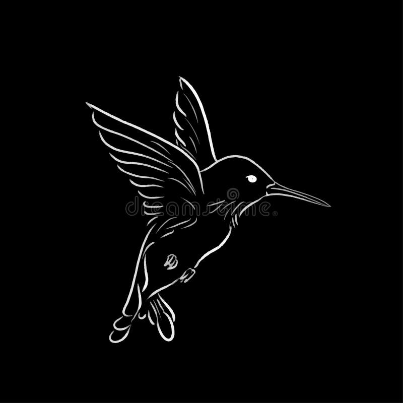 Flying Colibri on Flowers Sketch One Line Draw Vector Illustration ...