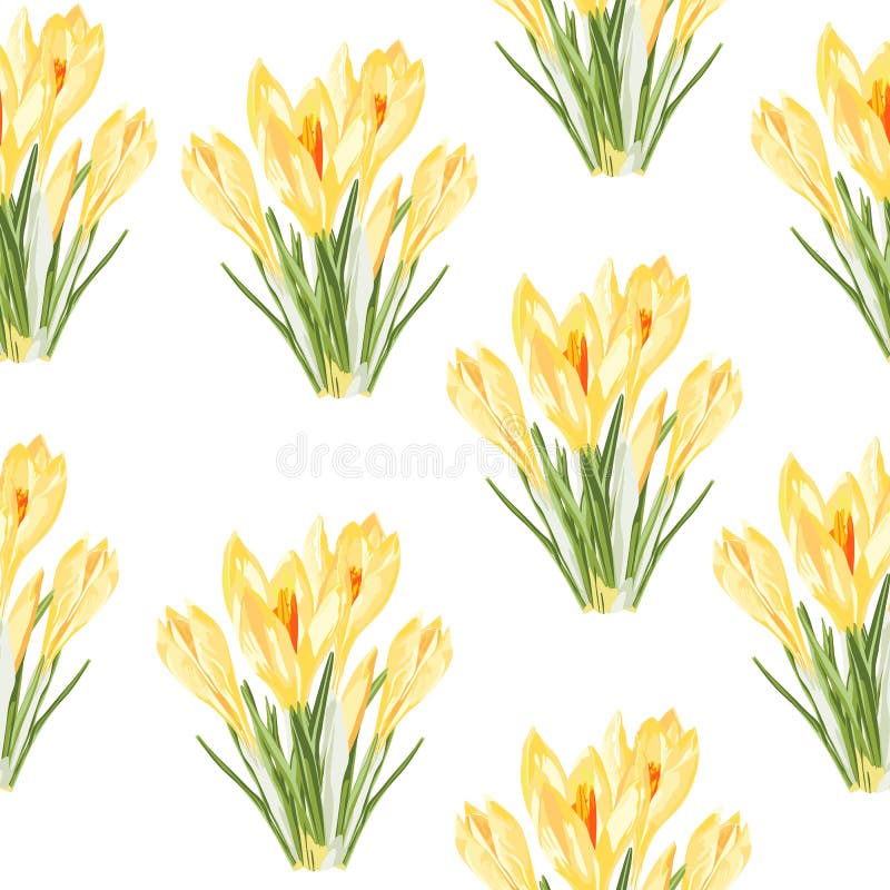 Yellow crocus stock vector. Illustration of spring, primrose - 29517874