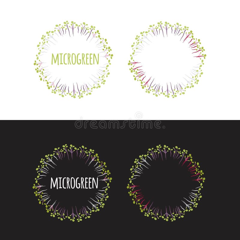 Microgreen Logo Hand Drawn Illustration Stock Vector - Illustration of ...