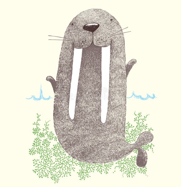 Walrus, Cute Walrus,chubby Walrus, Funny Walrus, Happy Day, Vector ...