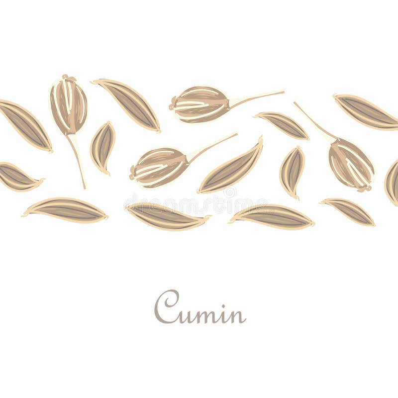 Cumin Symbol Stock Illustrations – 421 Cumin Symbol Stock Illustrations ...