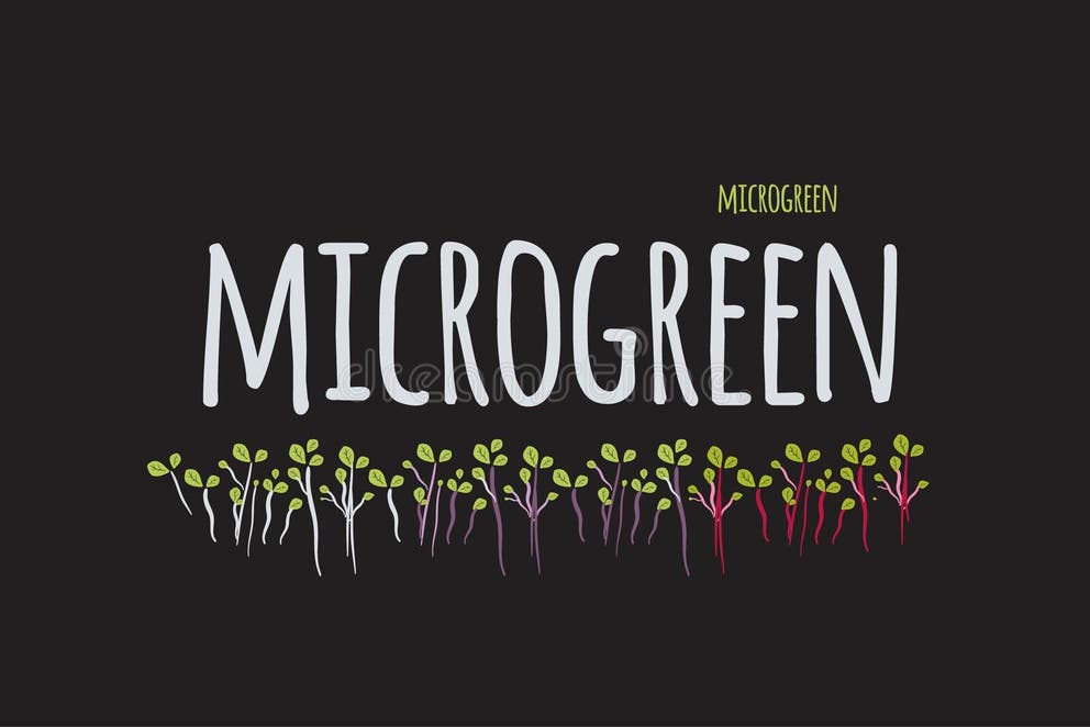 Microgreen Logo Hand Drawn Illustration Stock Vector - Illustration of ...