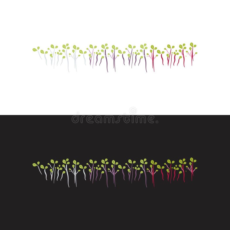 Microgreen Logo Hand Drawn Illustration Stock Vector - Illustration of ...
