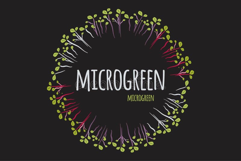 Microgreen Logo Hand Drawn Illustration Stock Vector - Illustration of ...