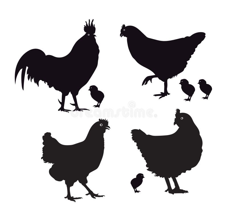 Rooster and Hen Silhouettes. Stock Illustration - Illustration of farm ...