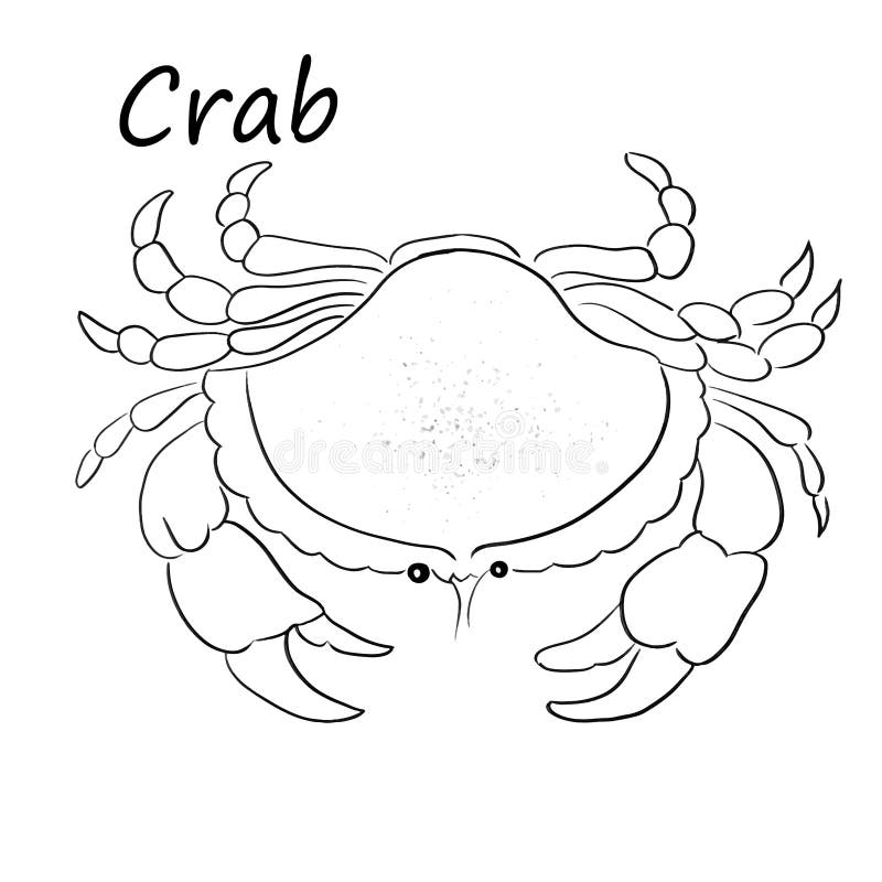 Beautiful Sea Print Crab Line Vector Illustration Stock Vector ...