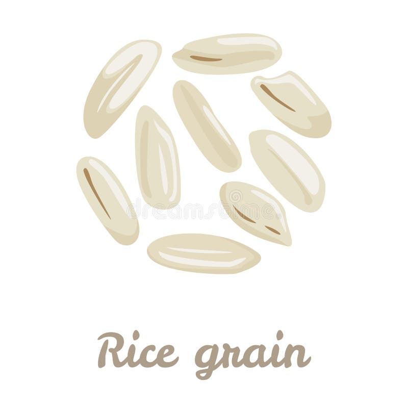 Rice Grain Icon. Vector Illustration of a Cereal Stock Vector ...