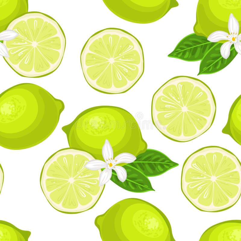 Lime Seamless Pattern. Vector Illustration of Citrus with Green Leaves ...