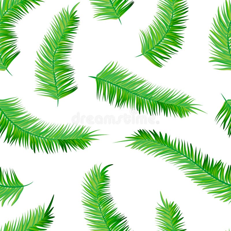 Seamless Palm Tree Leaves Pattern Stock Vector - Illustration of ...