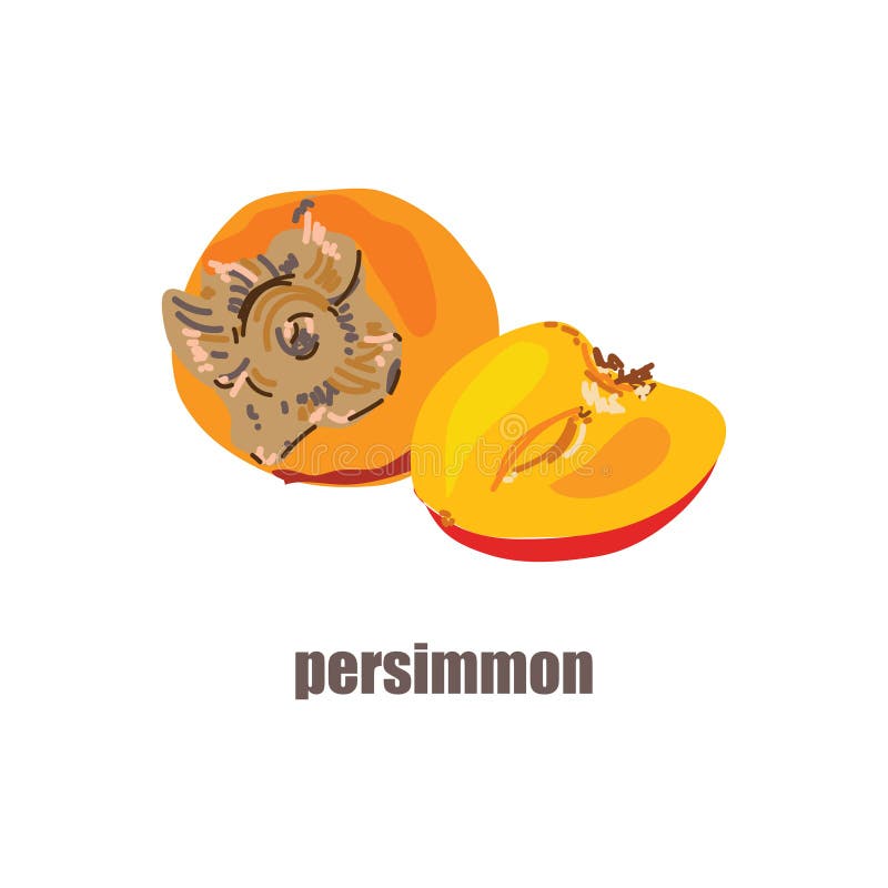 Persimmon Logo Design Stock Illustrations – 795 Persimmon Logo Design ...