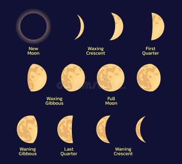Moon Phases Shadow Light Vector Stock Vector - Illustration of cycle ...