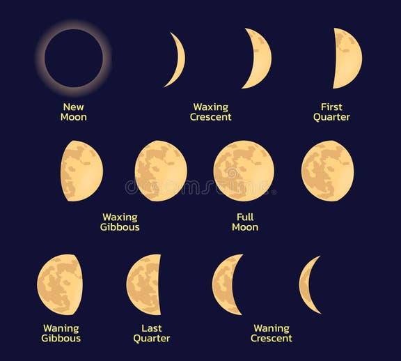 Moon Phases Shadow Light Vector Stock Vector - Illustration of cycle ...