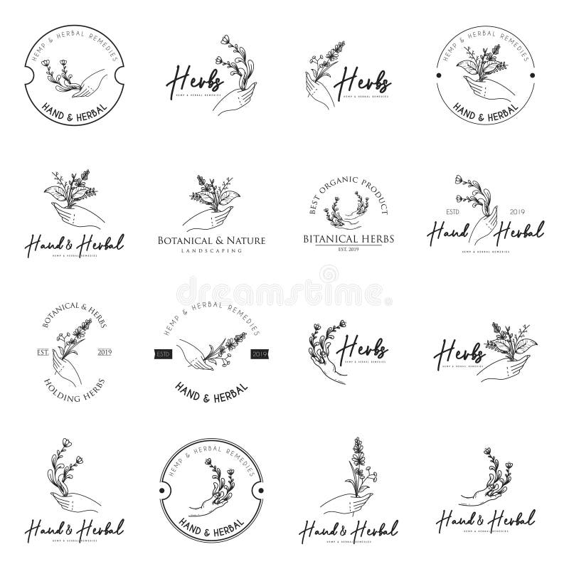 Vintage Herbs Logo in Black and White. Herbs Held by Hand Logo Template ...