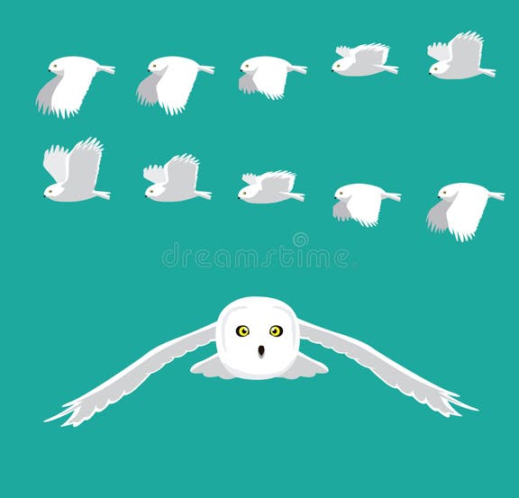 Snowy Owl Flying Animation Sequence Cartoon Vector Stock Vector ...