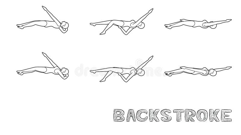 Swimming Pool Style Backstroke Motion Sequence Woman Animation Set ...
