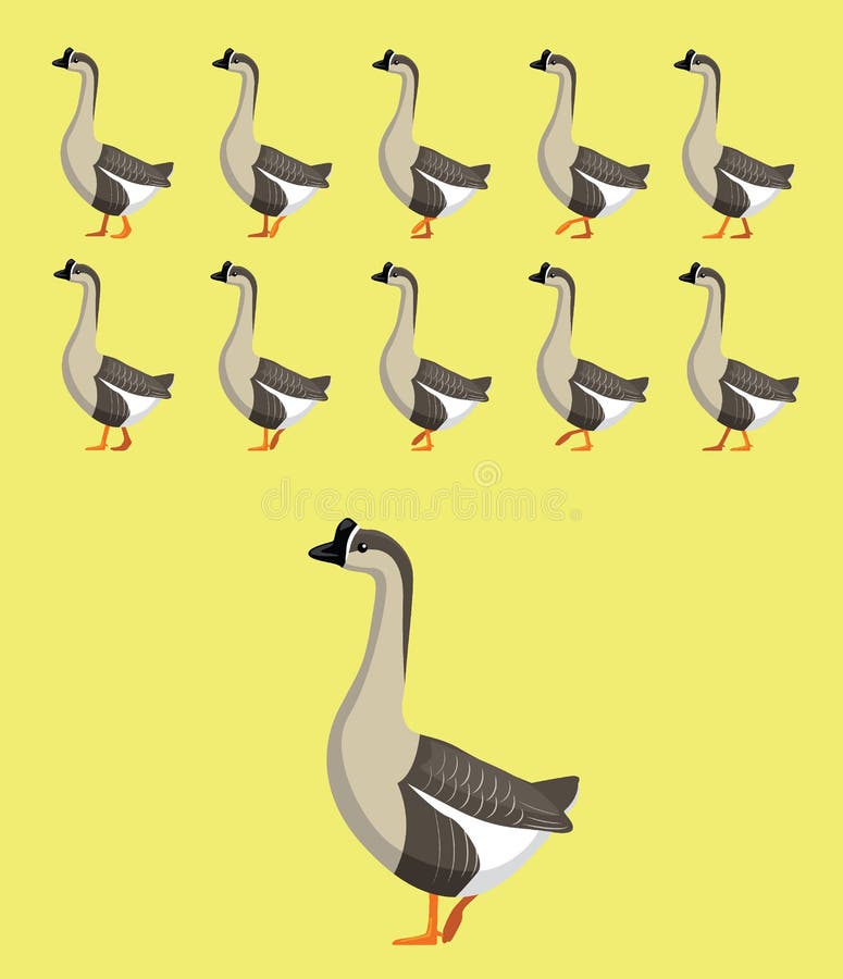 Animal Animation Sequence Goose Cartoon Vector Stock Vector ...