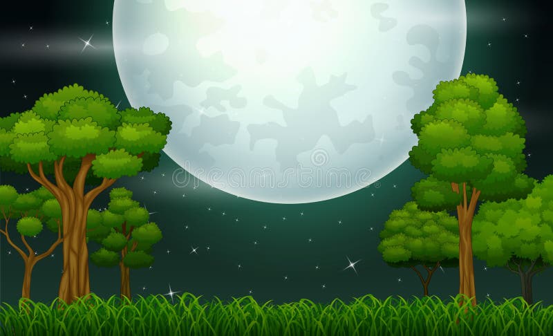 Night Time Forest Landscape with a Full Moon and a Starry Sky Stock ...