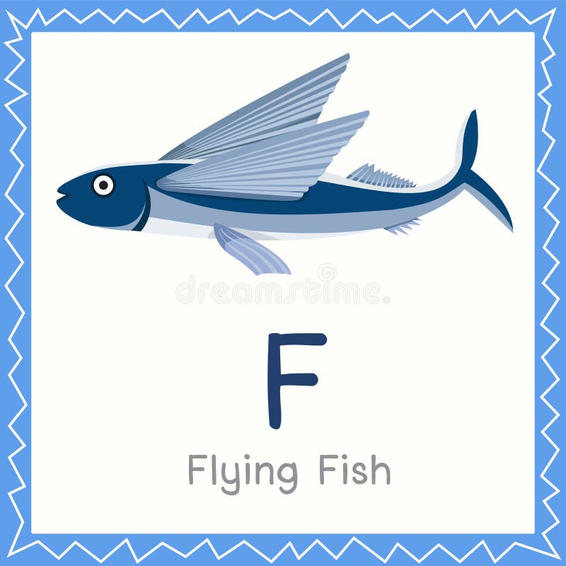 Illustrator of F for Flying Fish Animal Stock Vector - Illustration of ...