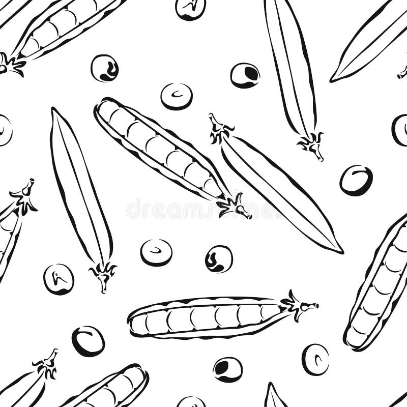 Outline Peas Vector Icon. Isolated Black Simple Line Element ...