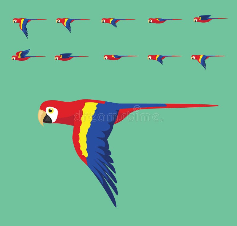 Animation Macaw Flying Cute Cartoon Vector Illustration Stock Vector ...