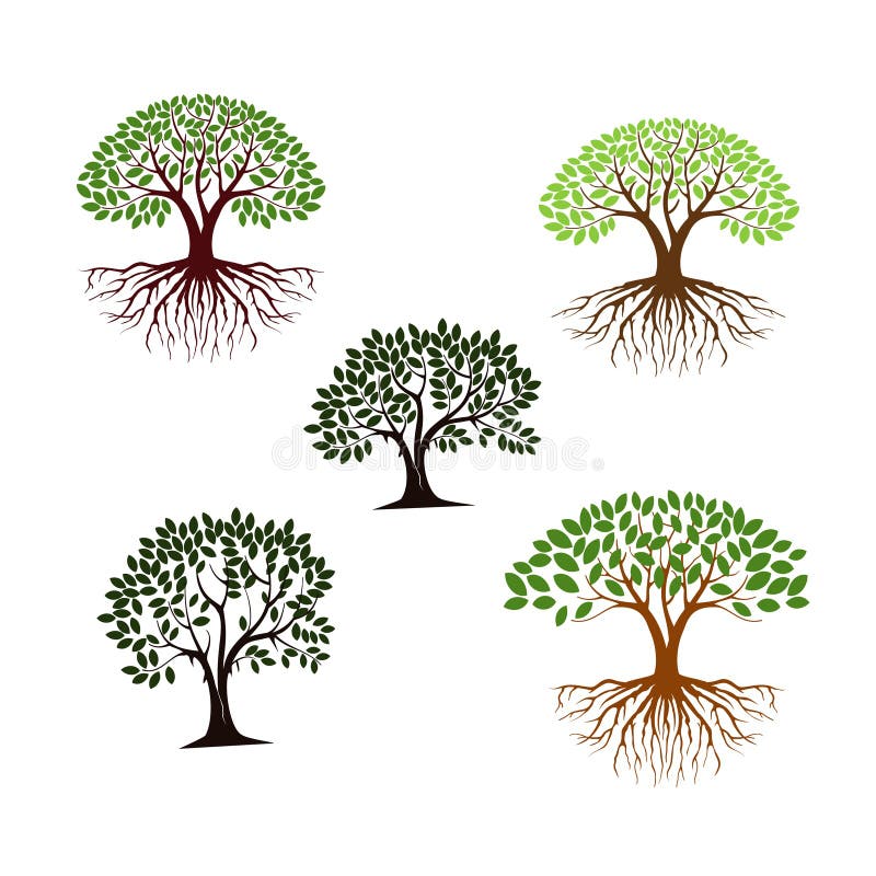 Banyan tree and root logo stock illustration. Illustration of growth ...