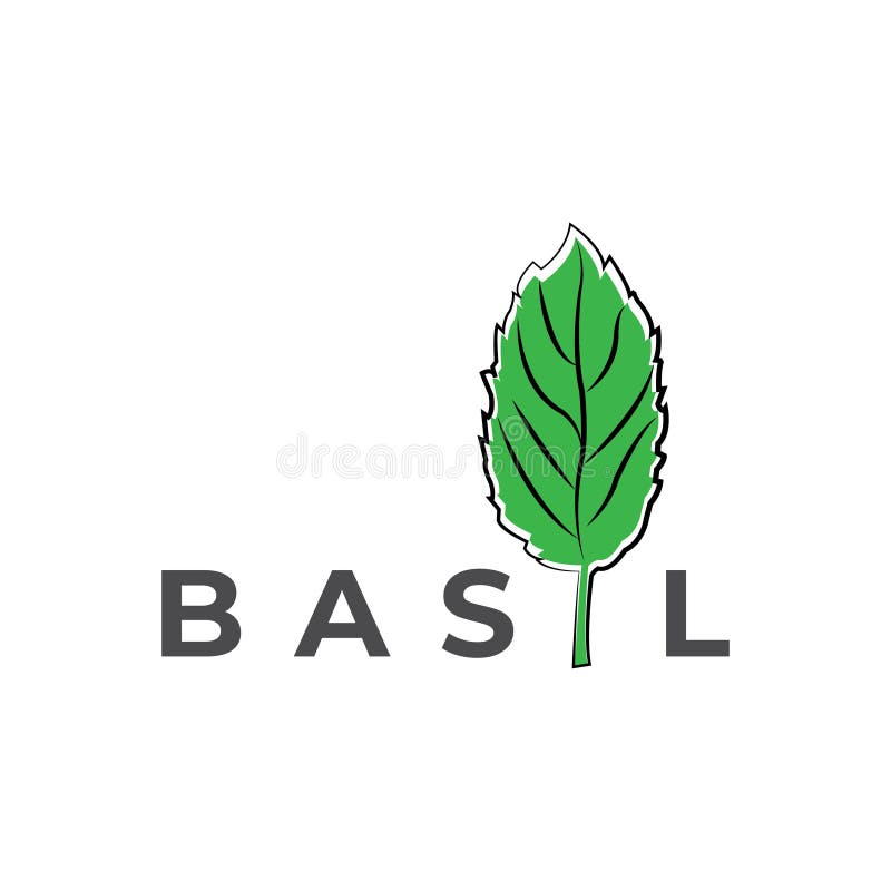 Basil Vector Logo. Basil Illustration Stock Vector - Illustration of ...