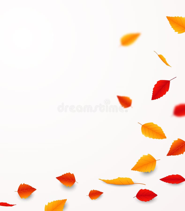 Autumn Falling Leaves Banner Design Stock Vector - Illustration of ...