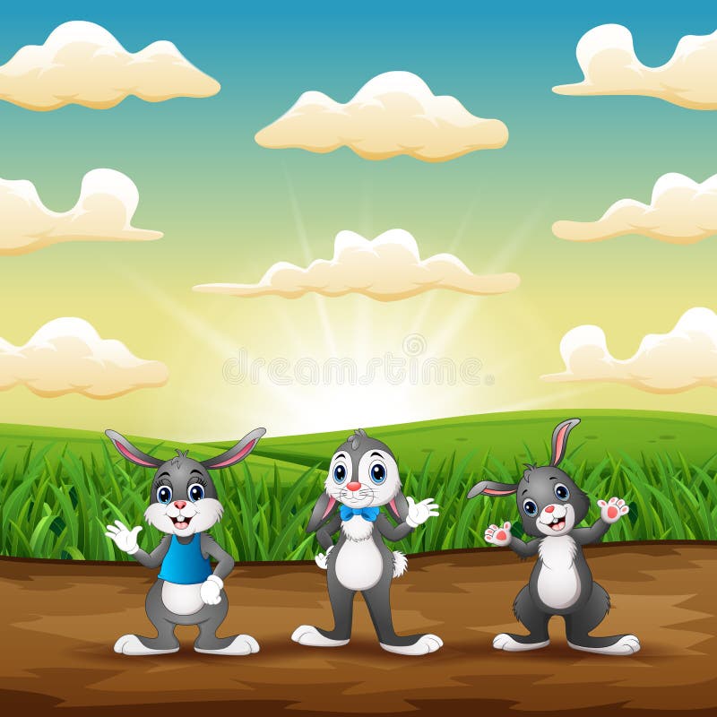 Three Rabbits Standing on Field in the Morning Stock Vector ...