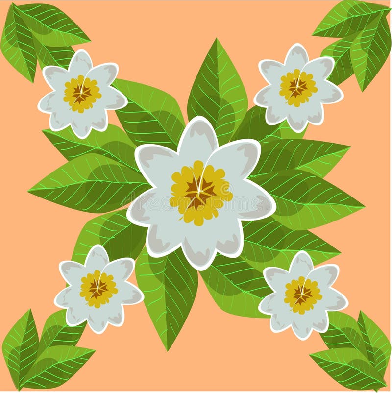 Frangipani Flower Pattern stock illustration. Illustration of beautiful ...