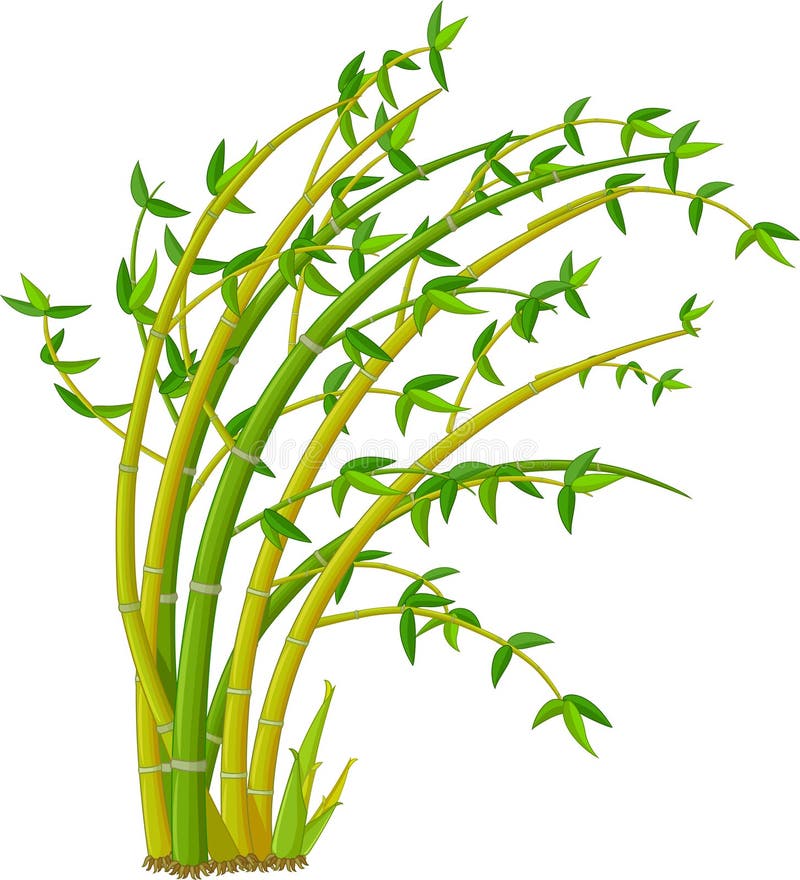 Cute Bamboo Tree Cartoon on White Background Stock Illustration ...