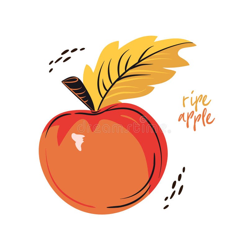 Ripe Apple, Autumn Fruit Apple Logo Stock Vector - Illustration of logo ...