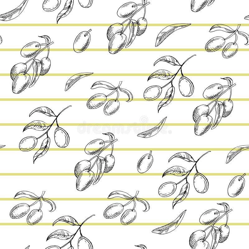Hand Drawn Olive Seamless Pattern Stock Vector - Illustration of ...