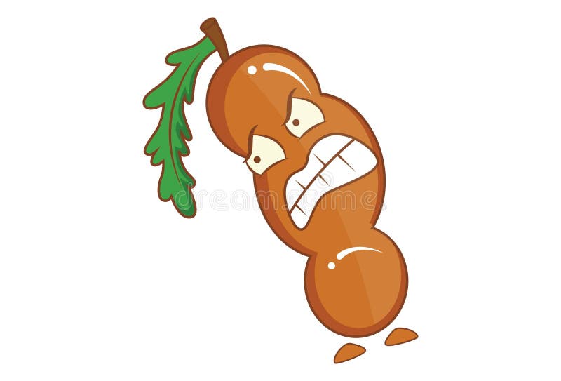 Vector Cartoon Illustration of Tamarind Stock Vector - Illustration of ...