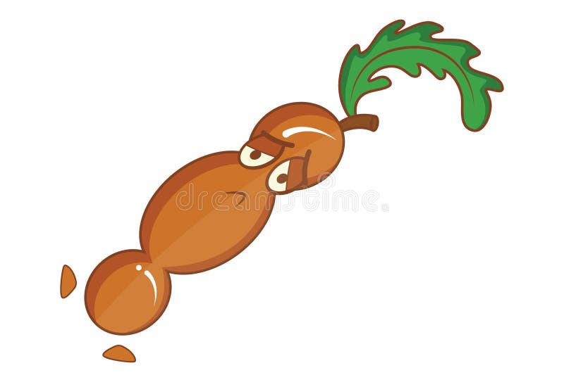 Vector Cartoon Illustration of Tamarind Stock Vector - Illustration of ...
