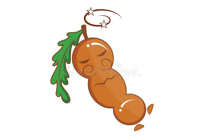 Vector Cartoon Illustration of Tamarind Stock Vector - Illustration of ...