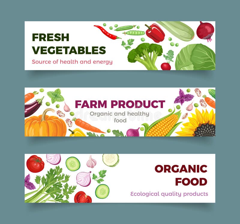 Set of Vegetables Banner. Standard Web Design Size Stock Vector ...