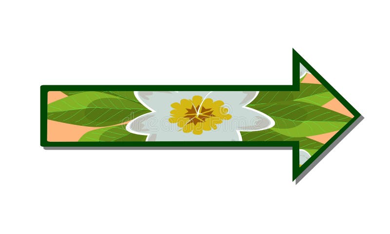 Frangipani Flower Pattern Direction Arrow Stock Illustration ...