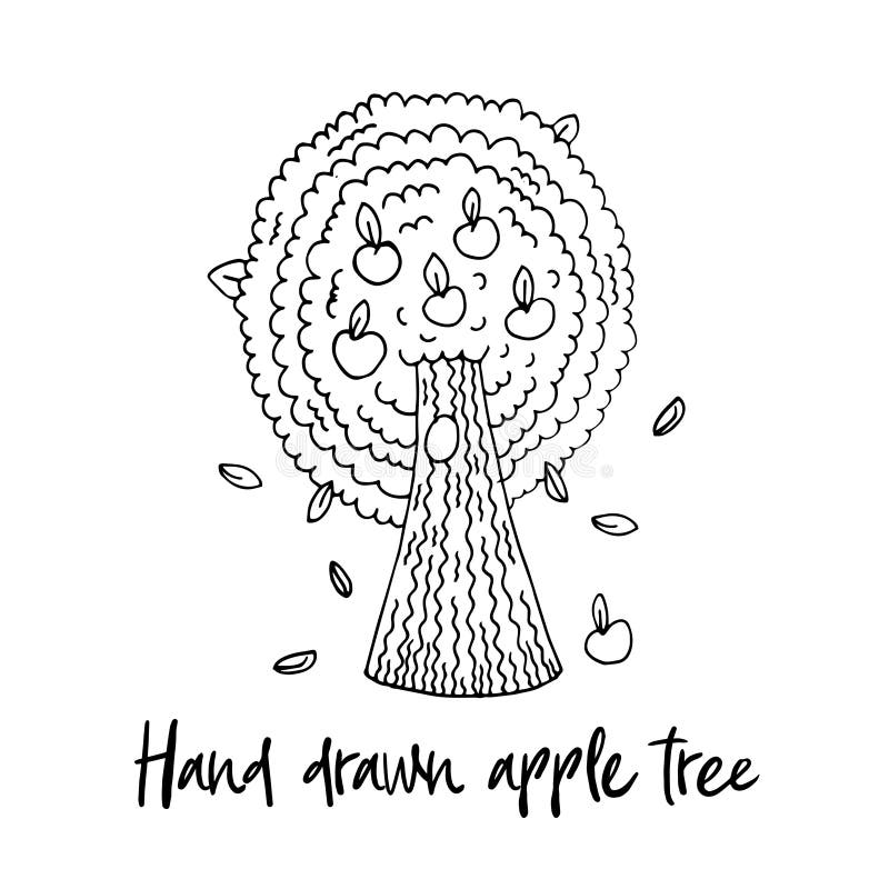 Hand Drawn Apple Tree with Fruits Autumn Harves Stock Vector ...