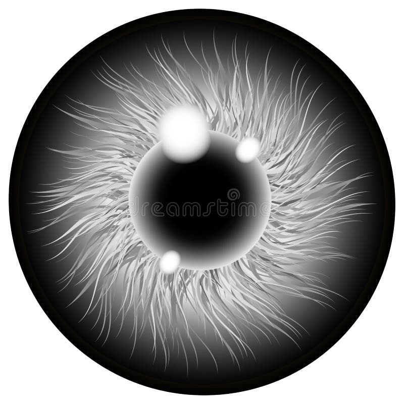 Grey Eyes Realistic Illustrations . Eyes Illustration Contact Lens ...