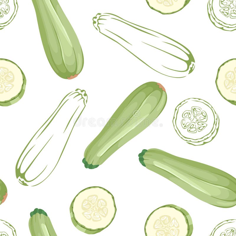 Zucchini Seamless Pattern. Vector Color Illustration of Squash and ...