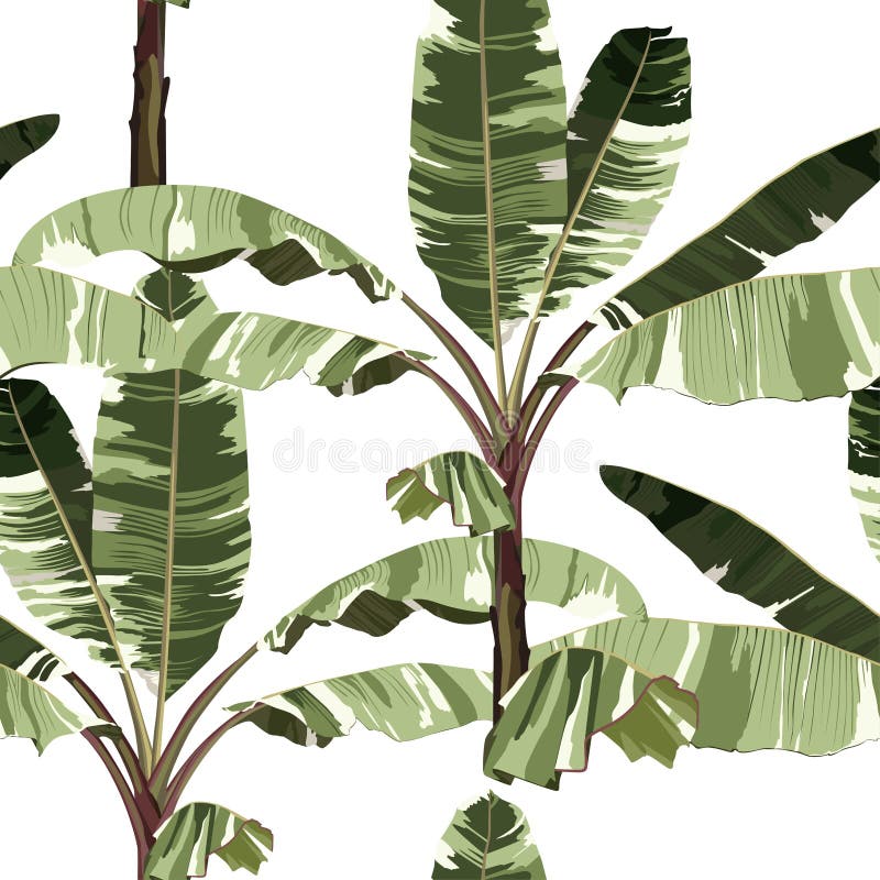 Tropical Palm Trees, Banana Tree Floral Seamless Pattern White ...