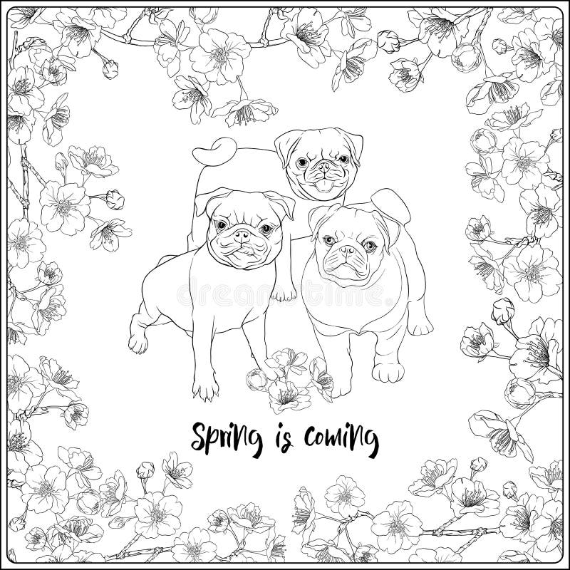 Spring Puppy Coloring Book Stock Illustrations – 59 Spring Puppy ...