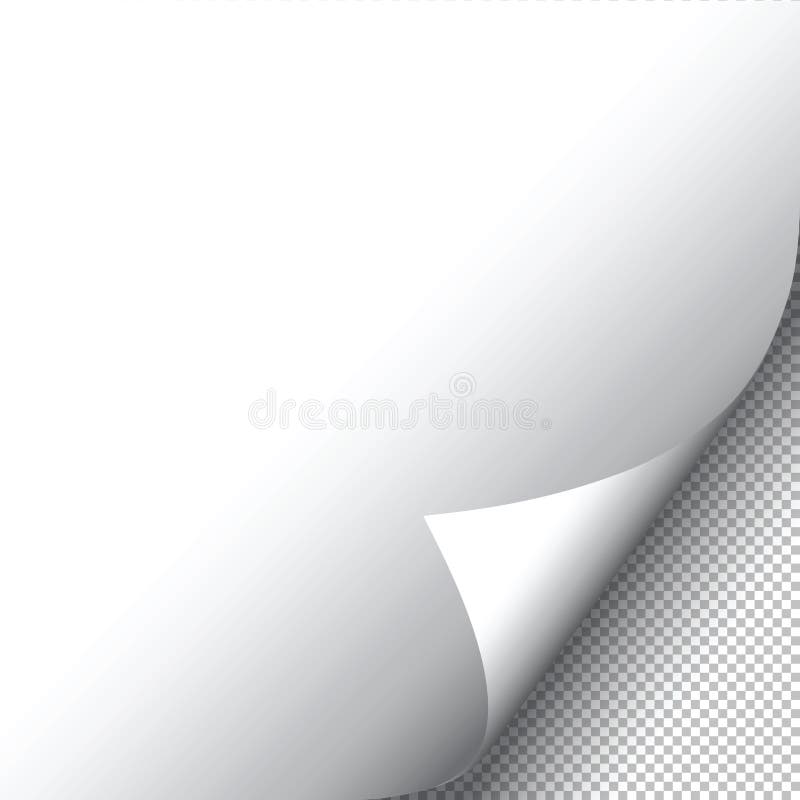 A White Paper Fold Transparency Stock Vector - Illustration of rolled ...